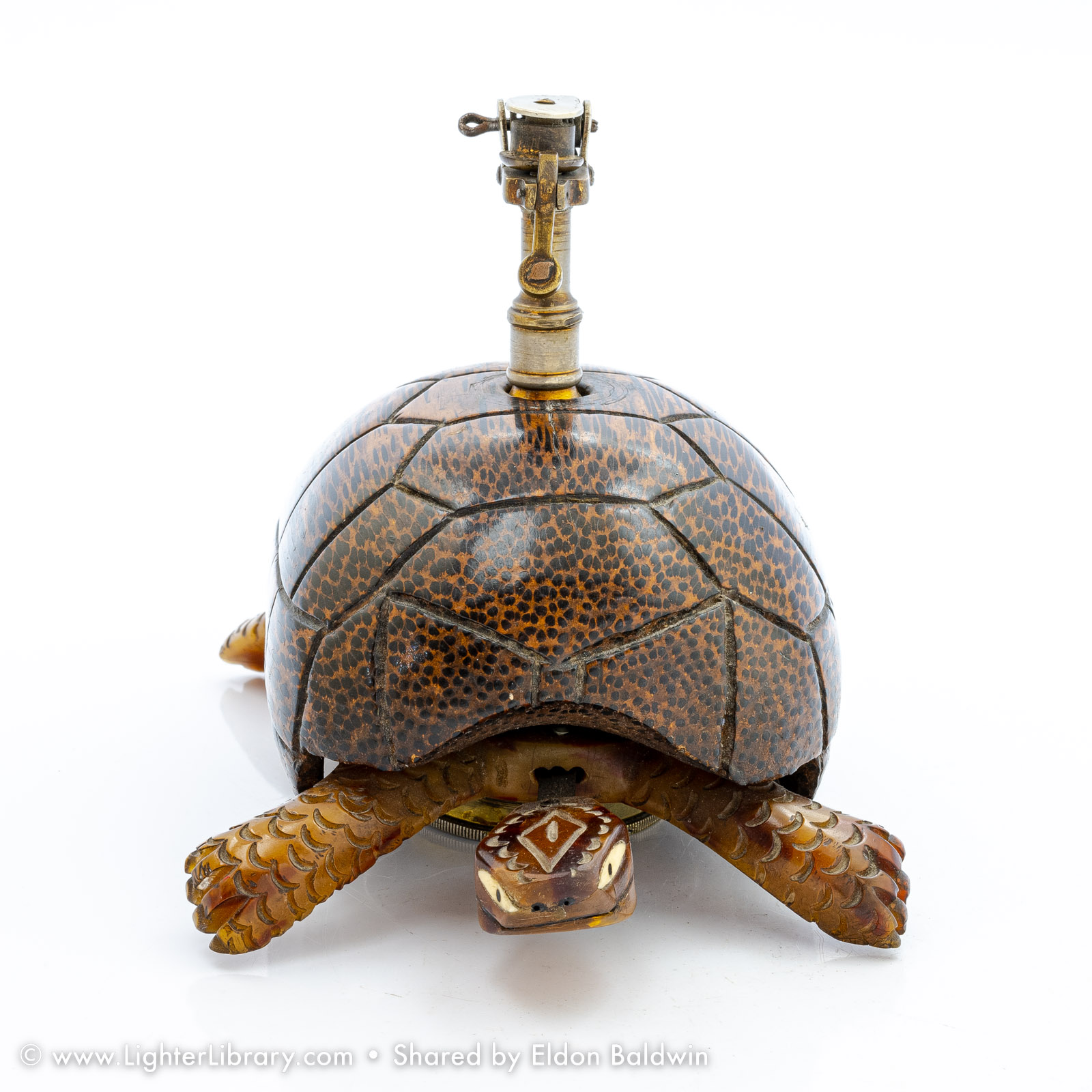 Éclair By Quercia - Tortue (Tortoise), model FD 36