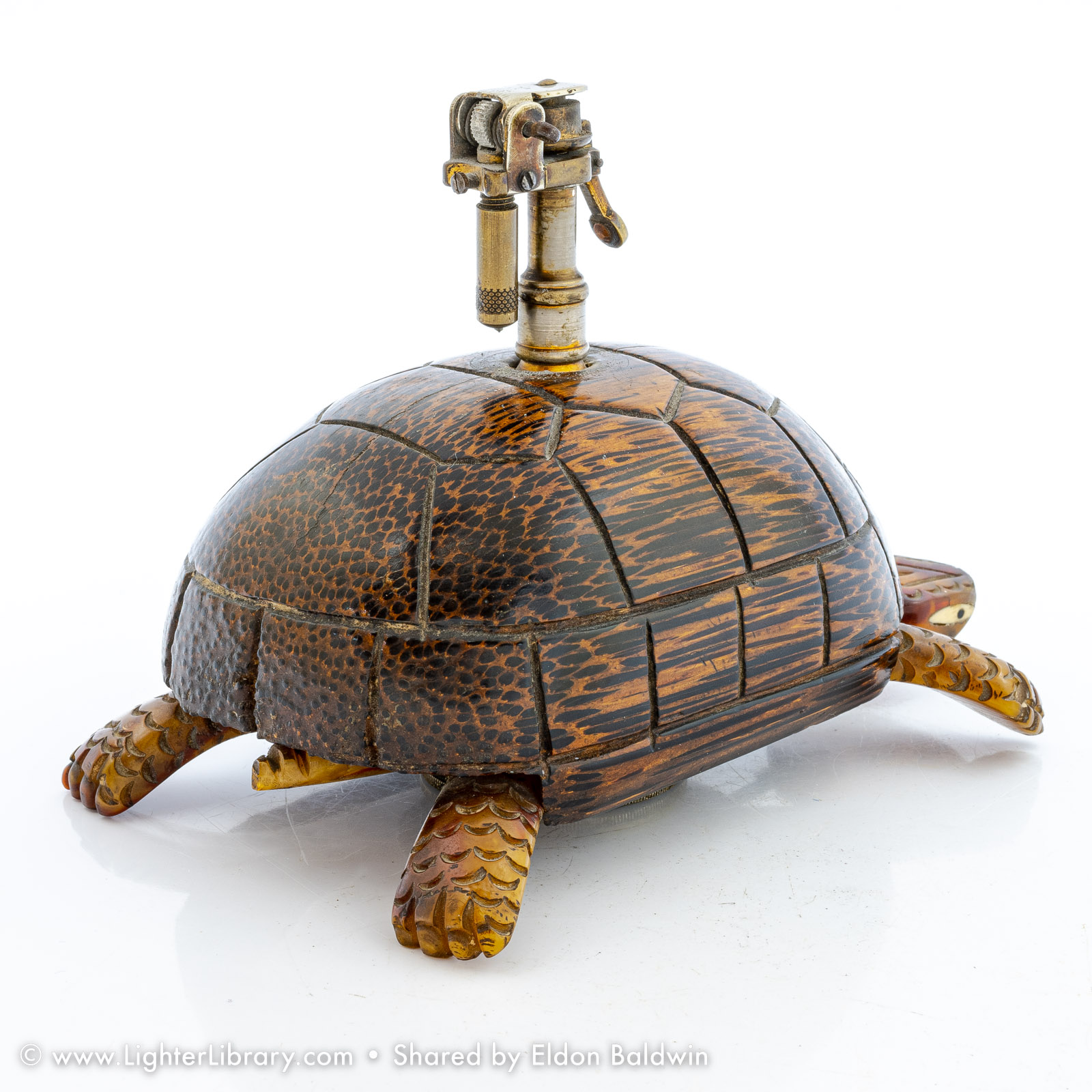 Éclair By Quercia - Tortue (Tortoise), model FD 36