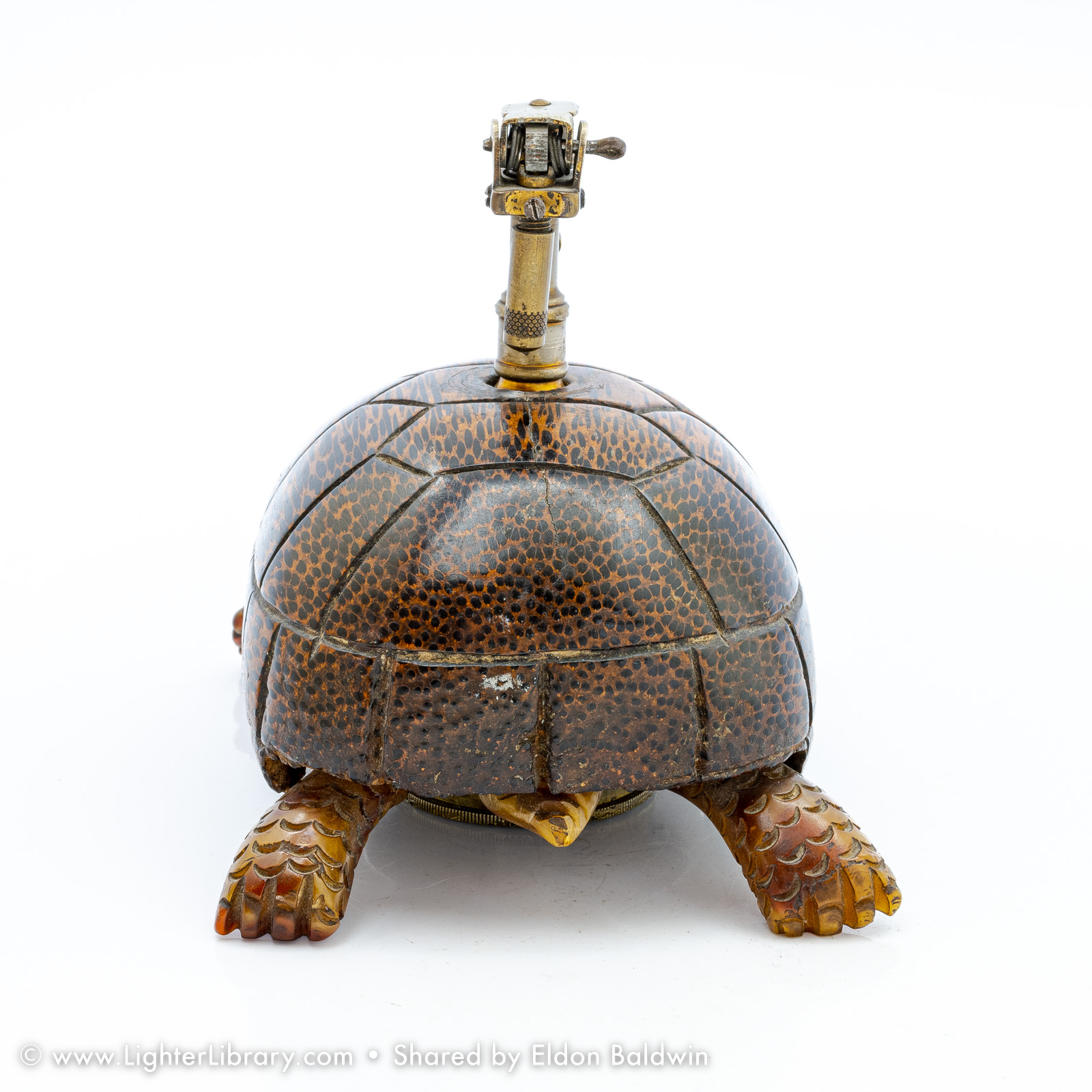 Éclair By Quercia - Tortue (Tortoise), model FD 36